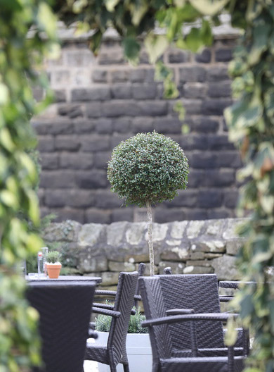 About Our Country Pub - The Wotton Hatch Dorking